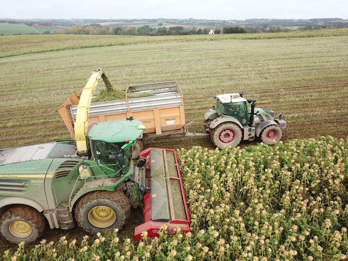 Ensilage de tournesol, moha et niger - ETA Gautier
